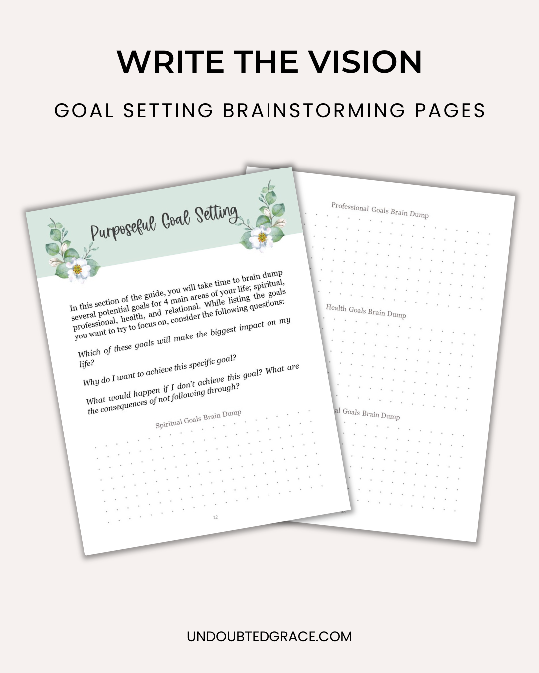 Write the Vision Goal Setting Journal - Printable – Undoubted Grace